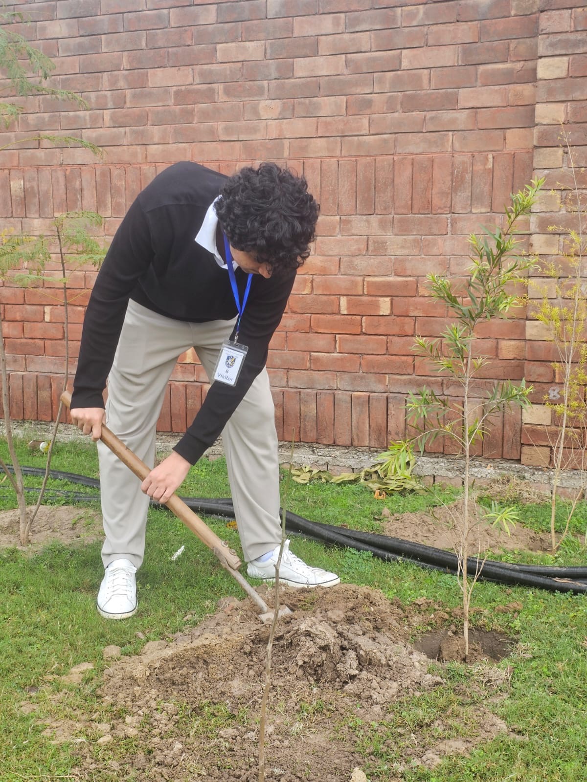 Amnverse - Pakistan's Reforestation Initiative